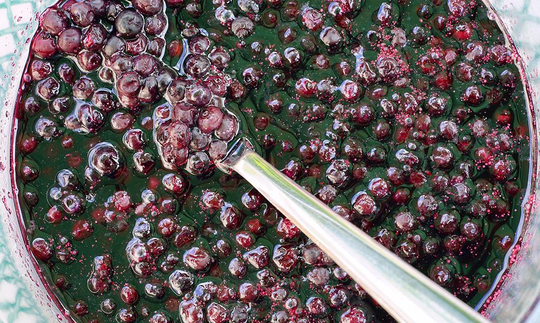 Blueberry syrup - Znam.si