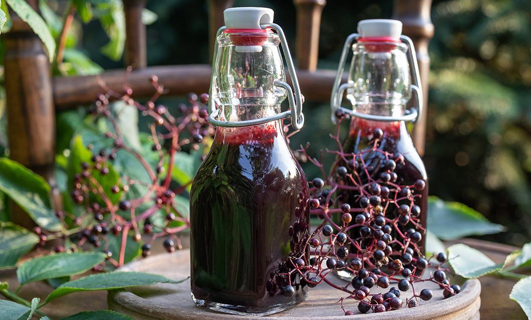 Sirup iz bezgovih jagod z medom - Znam.si