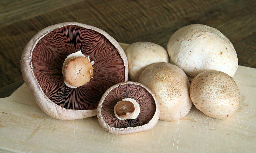 Kukmaki s smetano in čebulo - Znam.si